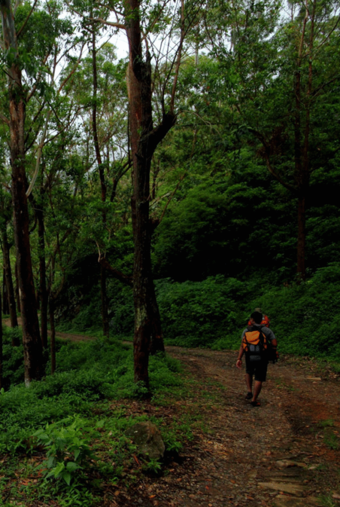 About the hotel - Haputhale - Melheim Resorts